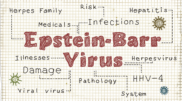 Pay Attention to Your Body – EBV might be the Answer? – Your Body, Your ...